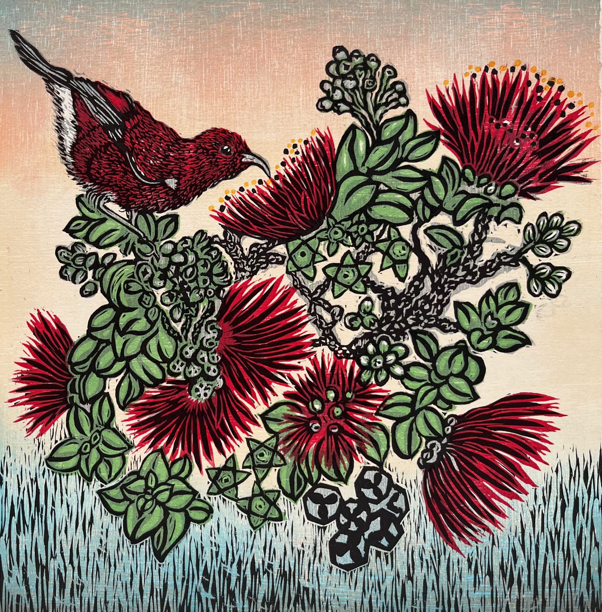 ‘Apapane~ ‘Ōhi’a Pollinator - Andrea Pro, Printmaker