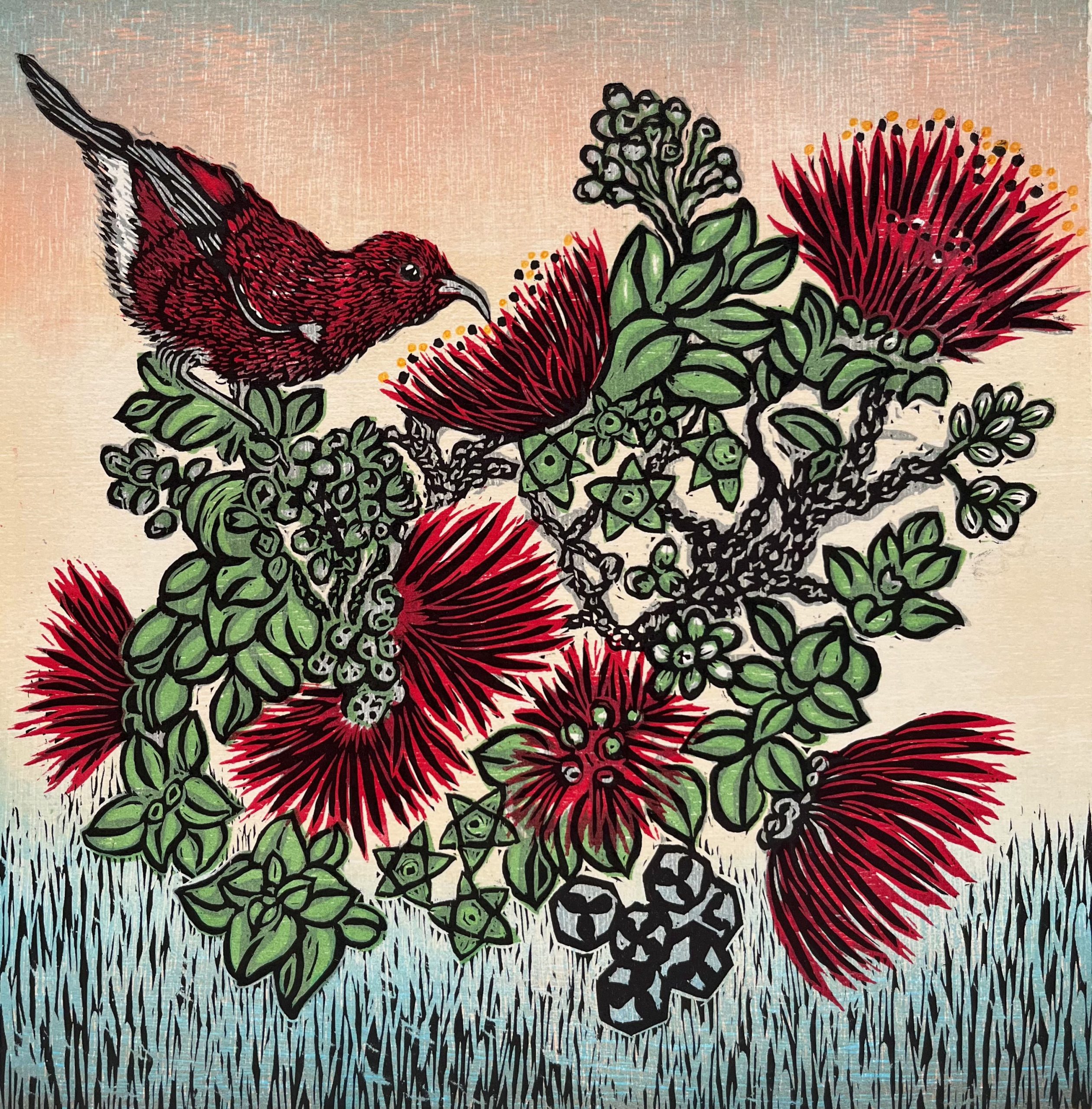 ‘Apapane~ ‘Ōhi’a Pollinator - Andrea Pro, Printmaker